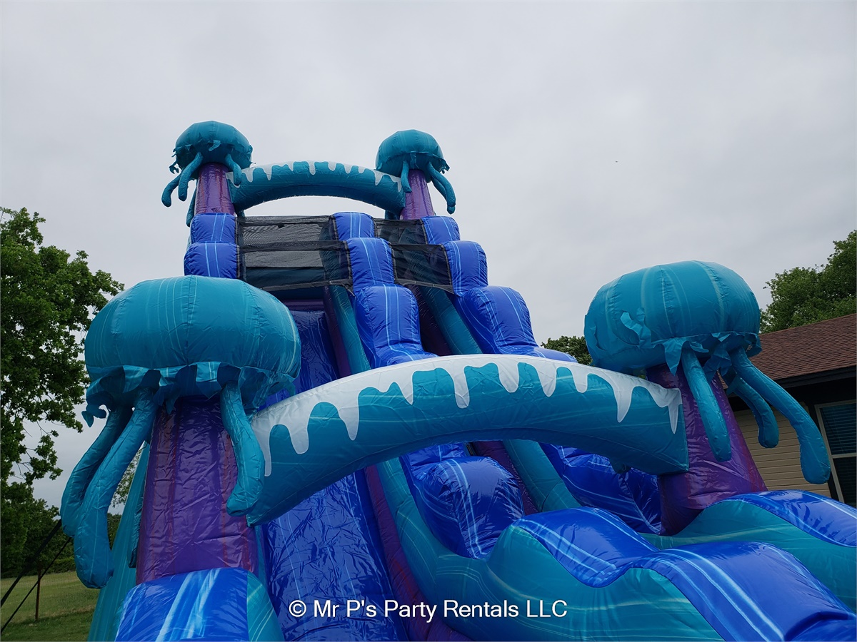 Electric Jellyfish Wet/Dry Slide - 19' Single Lane - Bounce House ...